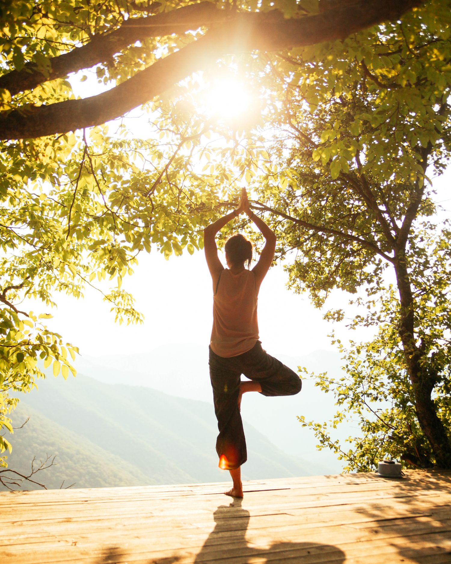 FALL ENERGY SHIFT - Alembika Magazine