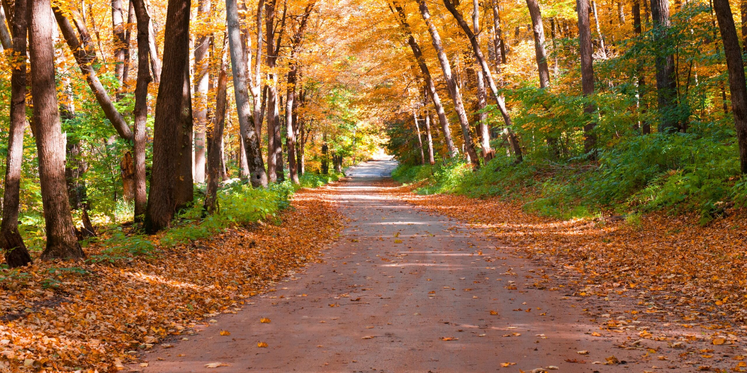 HAPPY FALL! - Alembika Magazine
