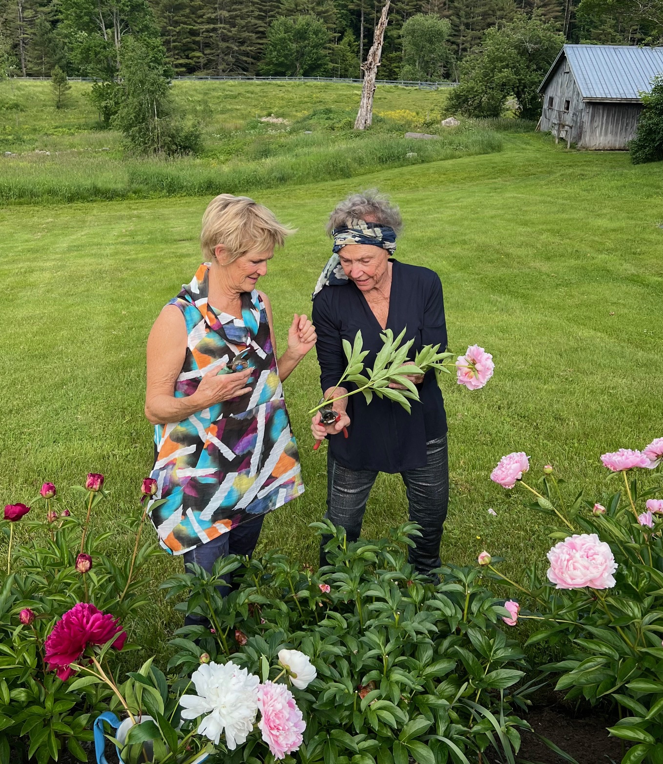 Meet Molly & Polly - #alembikawomen - Alembika Magazine